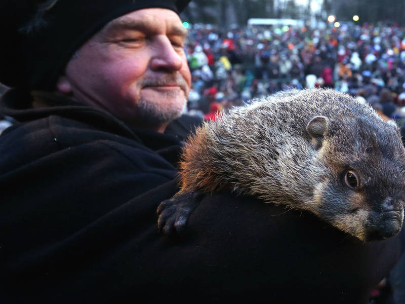Groundhog Day Forecast: Repeated Snow Chances In Virginia, DC ...