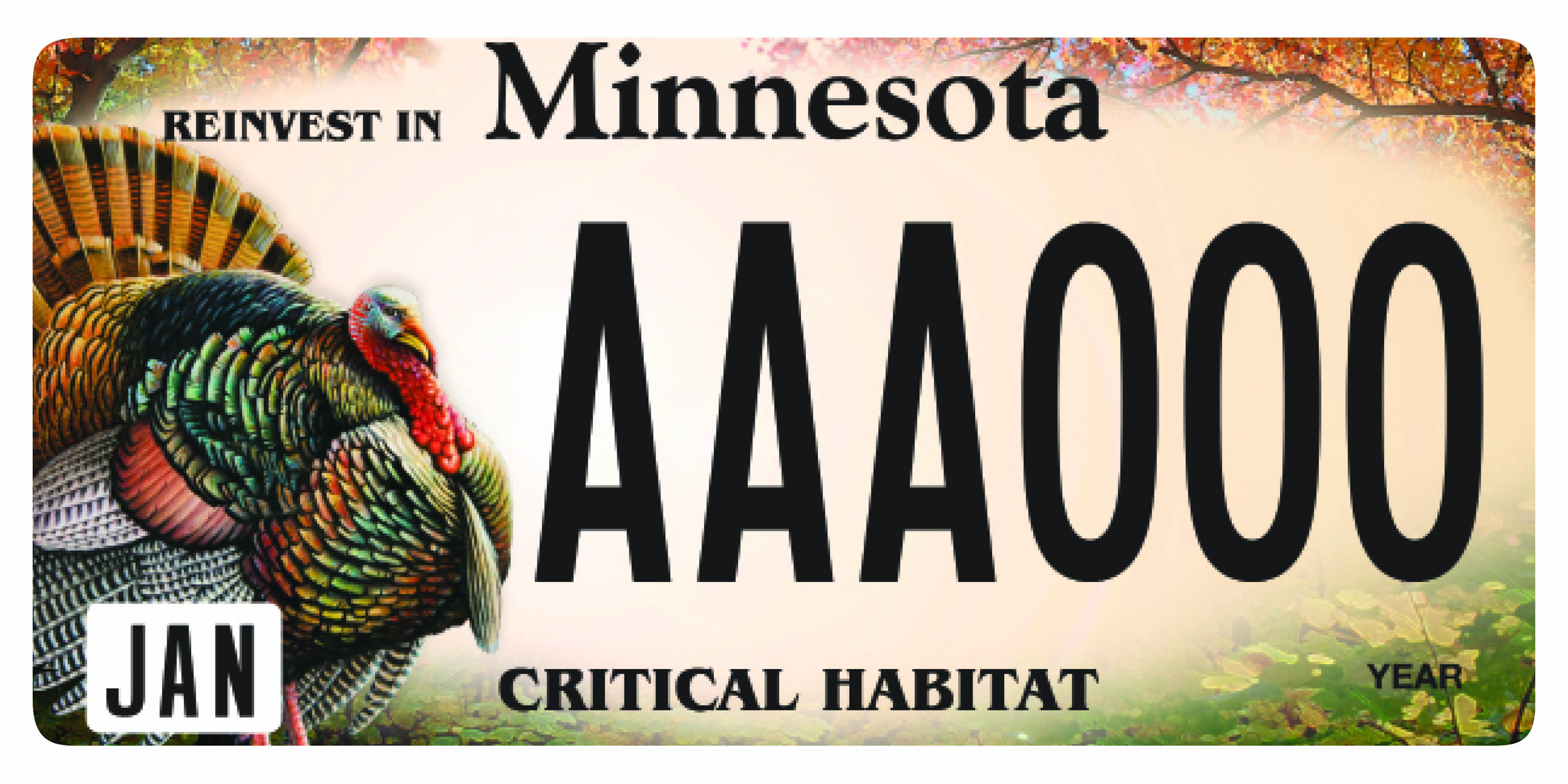 DNR Announces New Wild Turkey Critical Habitat License Plate ...