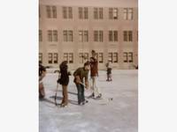 Smithtown, A History: Whisper the Bull Statue | Smithtown, NY Patch