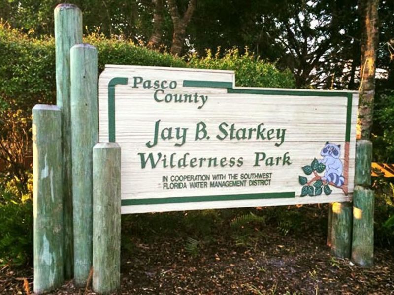 Jay B. Starkey Wilderness Park Ready To Reopen | Land O' Lakes, FL Patch