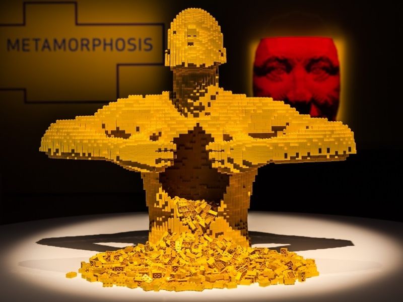 Giant LEGO Exhibit Set To Debut In Tampa | Tampa, FL Patch