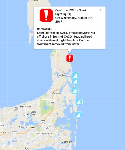 Shark Sighting At Cape Cod Beach: Swimmers Flee | Plymouth, MA Patch