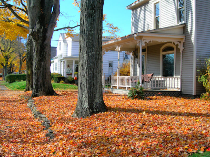 Buckingham Township One Of Pennsylvania's Safest Towns, New Analysis ...