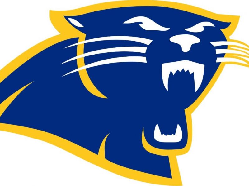 2017 Panthers Jr. Football & Cheer Registration | Downers Grove, IL Patch