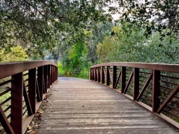 Beautiful Bridge: Roseville's Photo Of The Week - Roseville, CA Patch