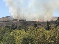 Pleasanton, CA Patch - Breaking Local News Events Schools Weather & Sports