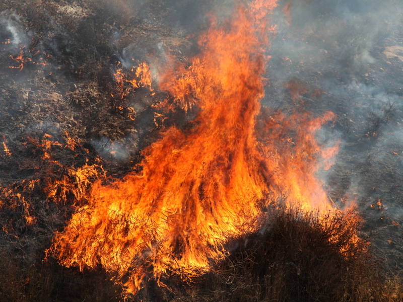 Brush Fire Quickly Contained Near Temecula | Temecula, CA Patch