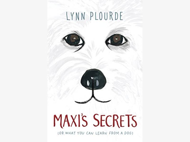Book Review: Maxi's Secrets | Columbia, MD Patch
