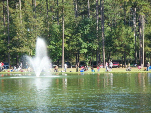 Low Oxygen Levels Kill Fish at Dellinger Park Lake in Cartersville ...