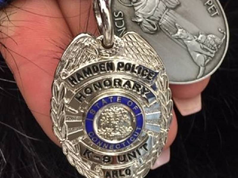 Puppy With Terminal Heart Defect Serves As Honorary Hamden K-9 | Hamden ...