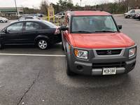 After Toms River Dog's PetSmart Death, Dozens Of Readers Speak Up ...