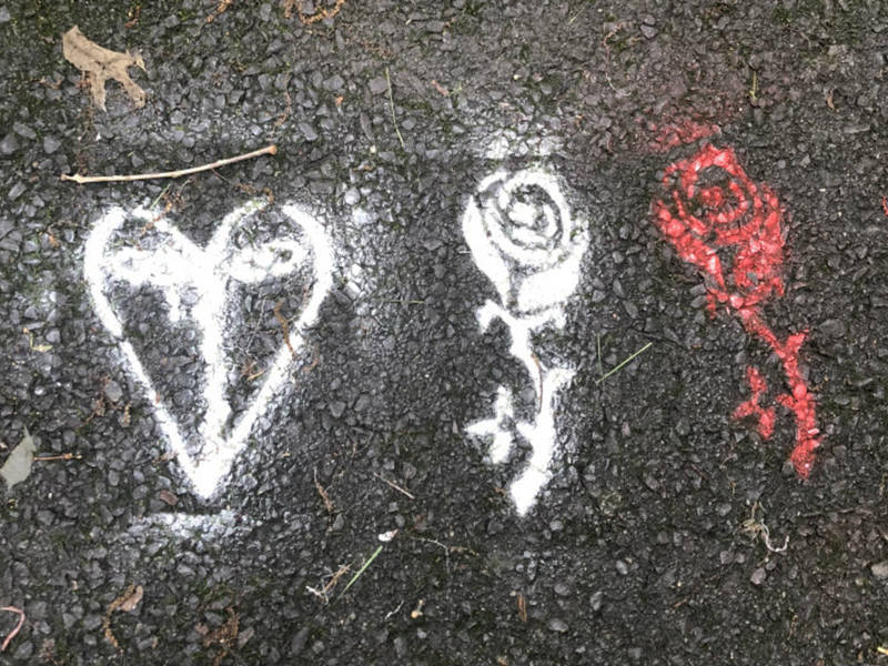 Suspicious Graffiti Found Near Clifton Dead Body Site | Chantilly, VA Patch