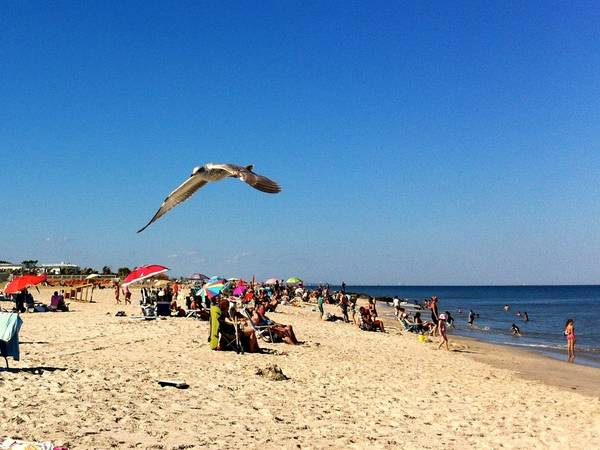 Rumson, NJ Patch - Breaking Local News Events Schools Weather & Sports