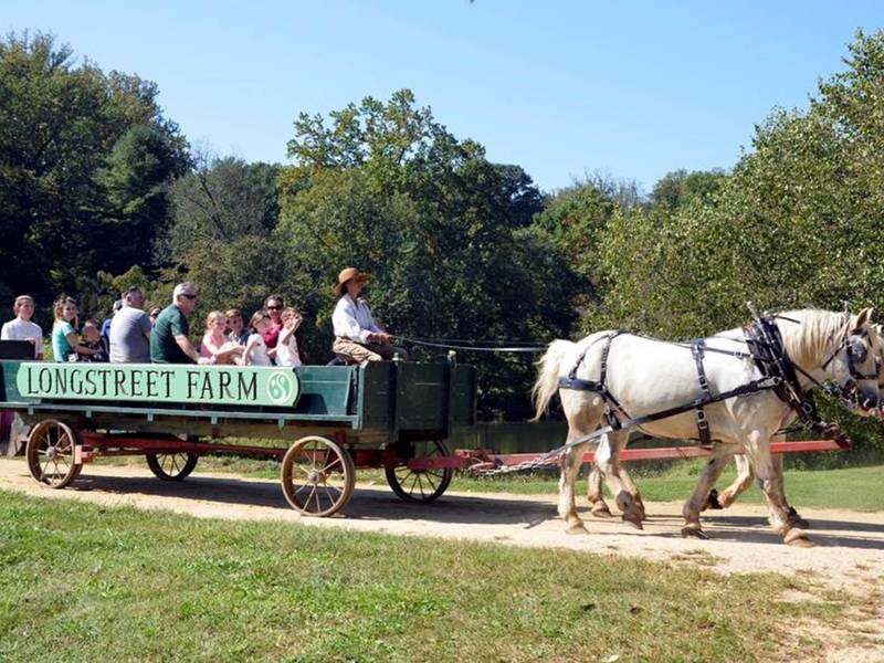 Longstreet Farm's Harvest Home Festival Is Sunday | Holmdel, NJ Patch