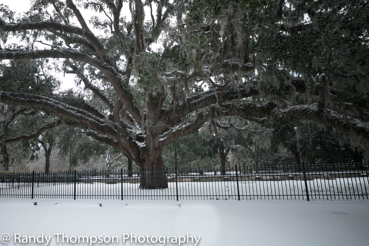 Snow In South Georgia? Here's The Proof (Photos) | Decatur, GA Patch