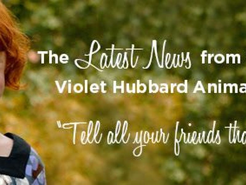 Catherine Violet Hubbard Animal Sanctuary Announces Free Upcoming ...