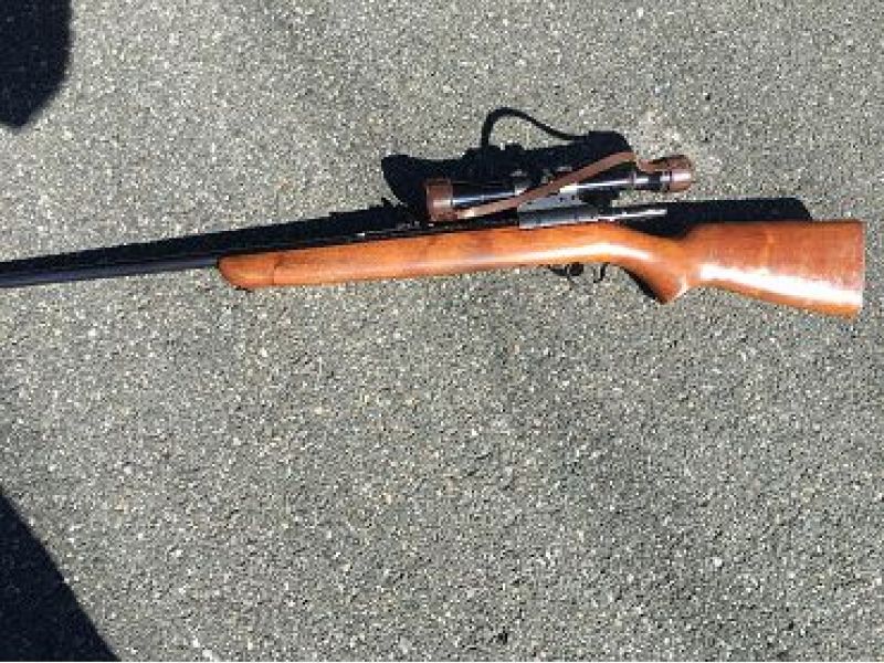 Woman Arrested For Brandishing Firearm Making Threats Rohnert Park