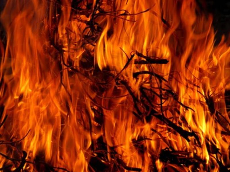 Bear Fire Hits 40 Percent Containment In Santa Cruz County | Santa Cruz ...
