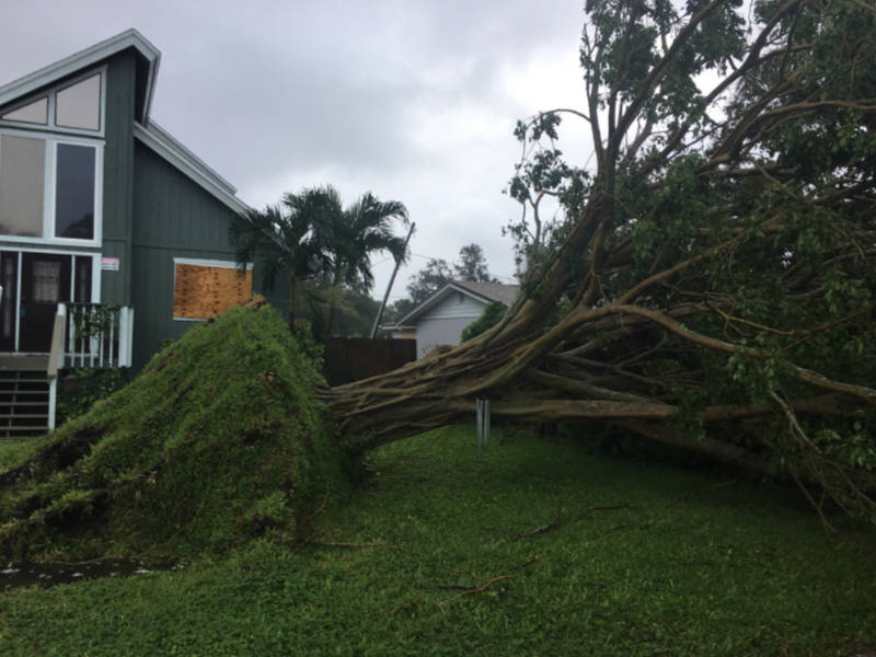 20K Gallons Of Overflow At St. Pete Lift Stations: Hurricane Irma - St ...