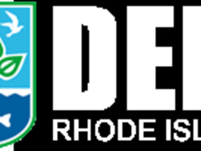 South Kingstown Man Charged for Killing Great Blue Heron: DEM ...