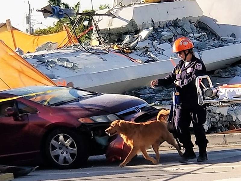 Miami Bridge Collapse Shifts From Rescue To Recovery | Miami, FL Patch