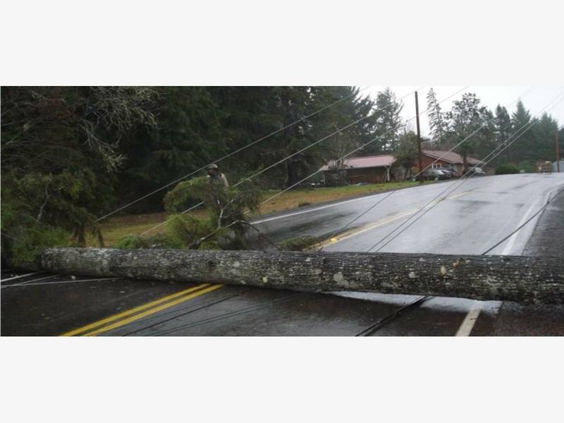 Windstorm Leaves 150,000+ Without Power, Widespread Damage | Seattle ...