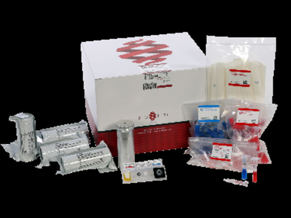 New GI Pathogen Panel Quickly Detects Cause of Diarrhea - Silver Spring ...