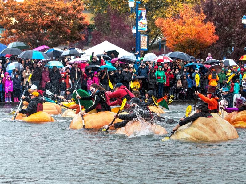 Giant Pumpkin Regatta Returns To Tualatin In October | Lake Oswego, OR ...