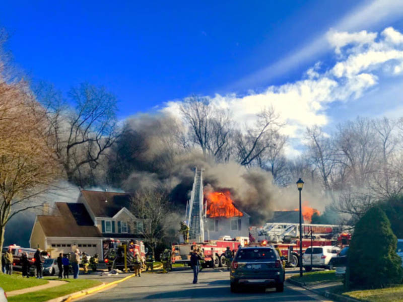 Three Pets Die In Heavy Fire At Springfield Home | Kingstowne, VA Patch