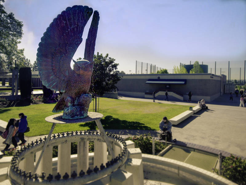 Study Ranks Citrus College Among State's Top Community Colleges ...