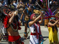 Why Do Teeth Grow Gaps Silver Spring Md Patch