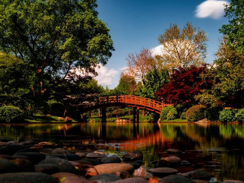 Don't Miss These Spring Events In Saint Louis | St. Louis, MO Patch