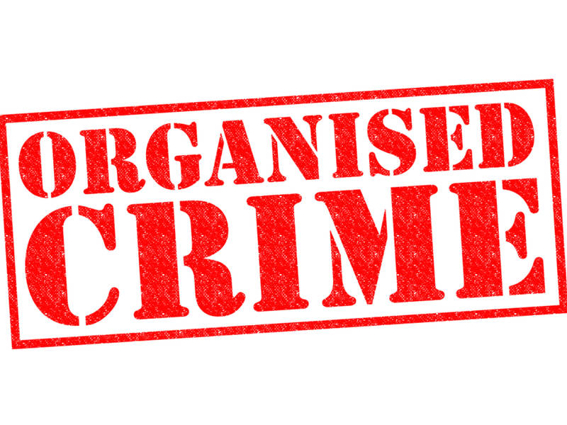 Local Man Charged in Organised Crime-Linked Loan Shark Scheme | Newtown ...