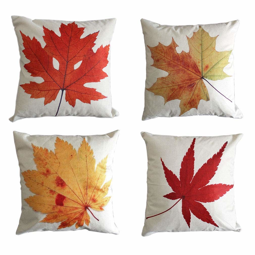 Spruce Up Your Home With These Festive Fall Finds | DealTown, US Patch