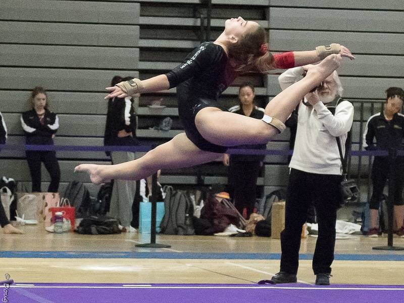 James Madison High School Warhawks Gymnastics Team Wins Districts ...