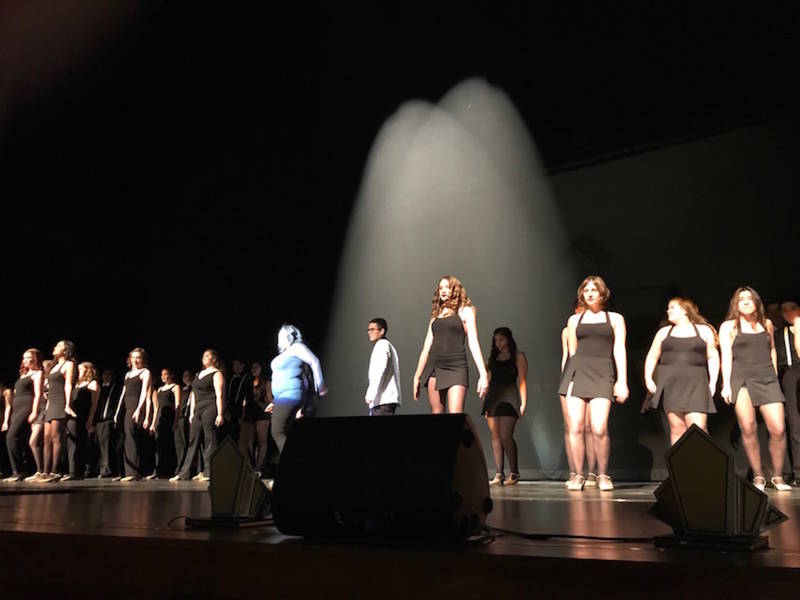 OLCHS New Performing Arts Center Marks Beginning Of New Era | Oak Lawn ...