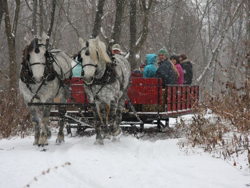 Horse-Drawn Hayrides, Sleigh Rides Happening at DuPage Co. Forest ...