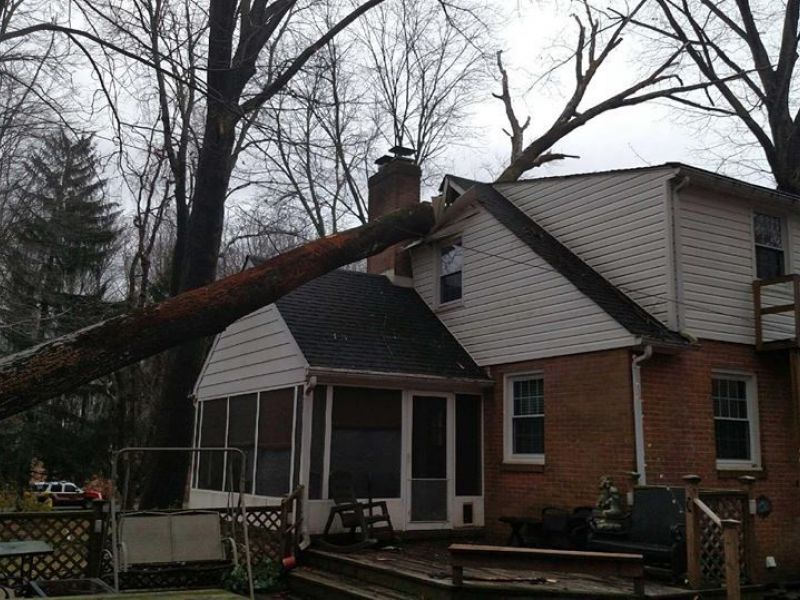 Tree Hit House in Bel Air: Officials | Bel Air, MD Patch