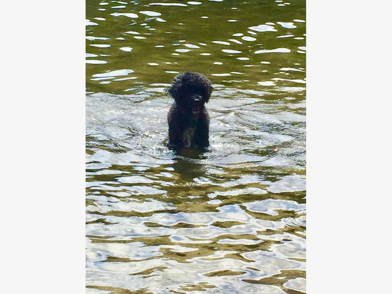 Hiking Trails, Water Park, Lake Mohegan- Take Tours! | Fairfield, CT Patch