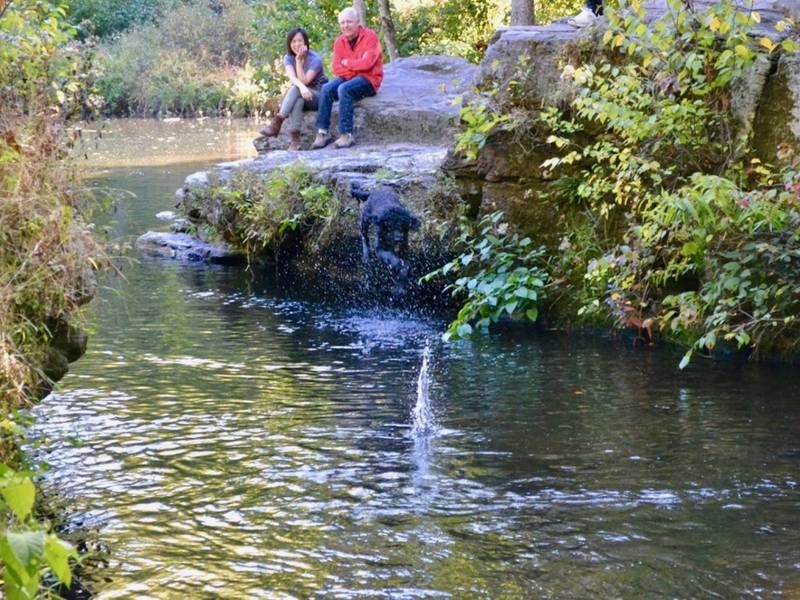 Hiking Trails, Water Park, Lake Mohegan- Take Tours! | Fairfield, CT Patch
