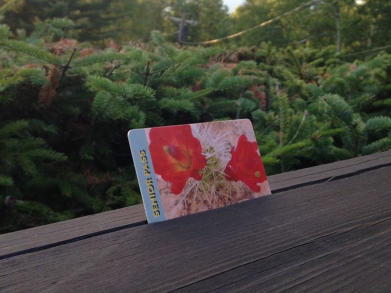National Parks Lifetime Senior Pass: 1 Day To Get Yours Before Prices ...