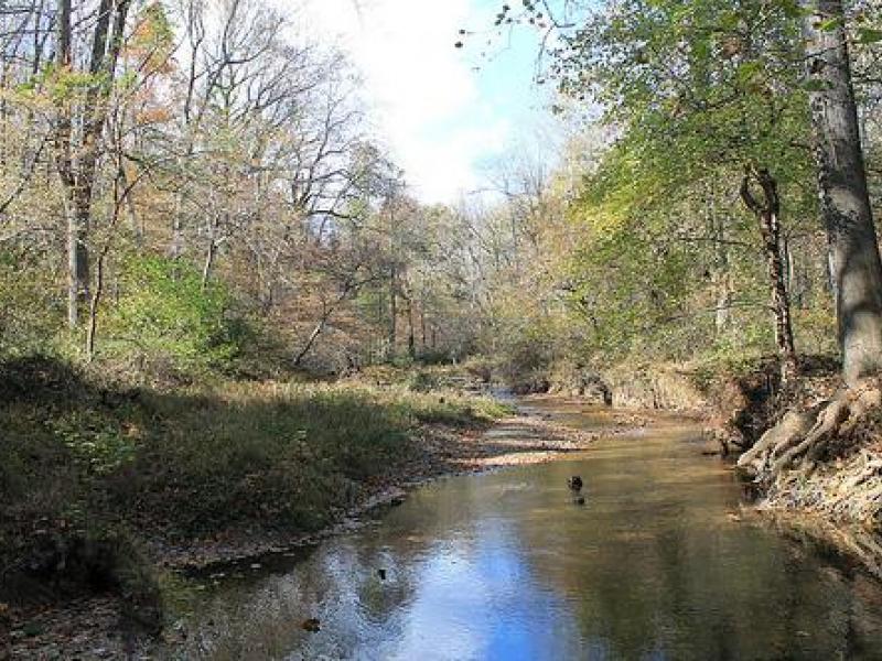 Patapsco River Reopens After Sewage Discharge: Health Officials ...